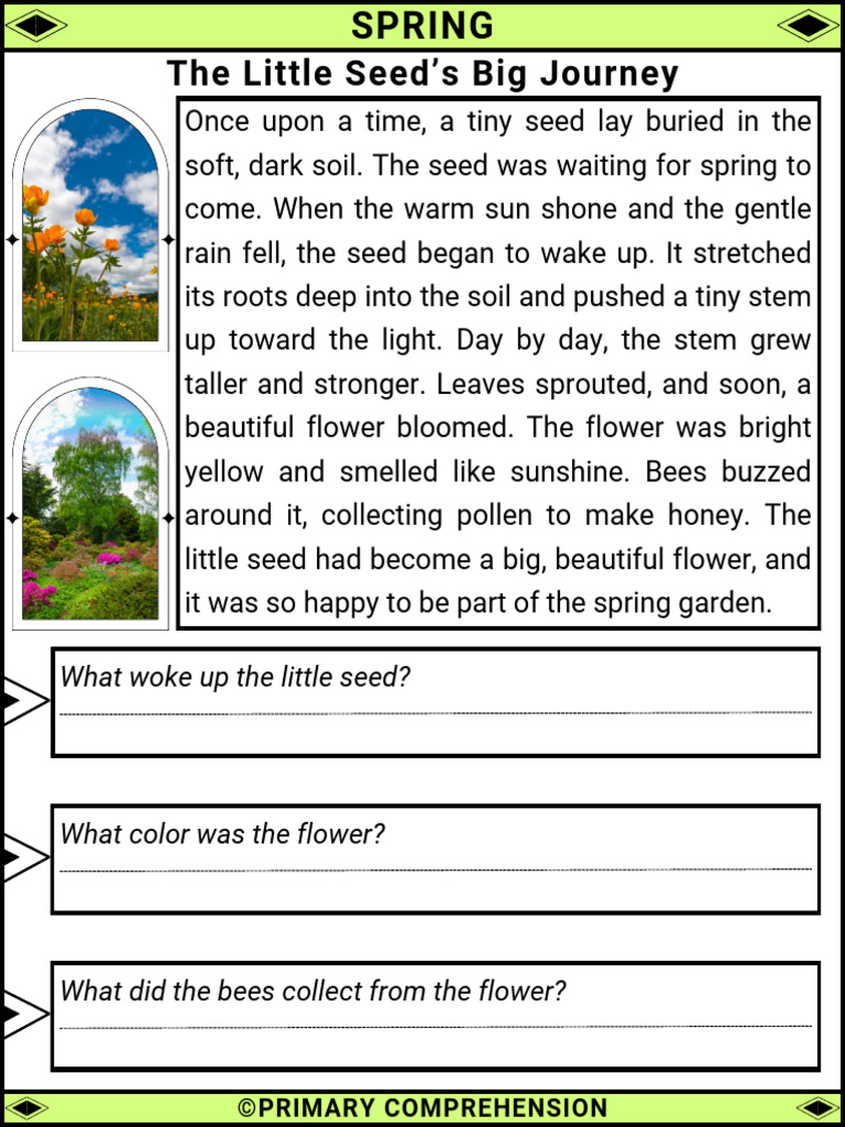 Spring Reading Comprehension | PDF | Bees | Flowers