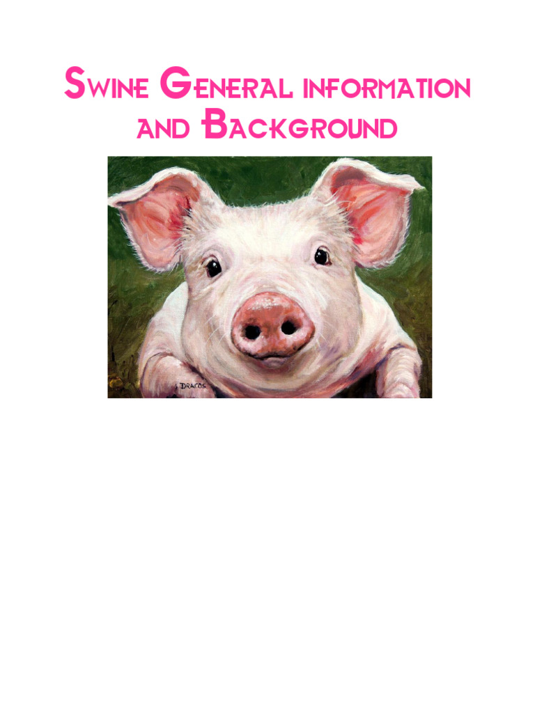 Swine | PDF | Pig | Infection