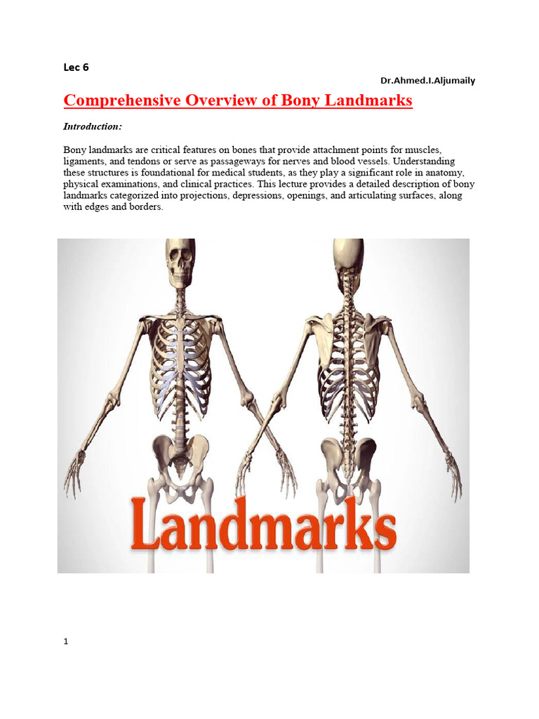 Anatomy Lec 6 Landmarkes PDF | PDF | Vertebra | Musculoskeletal System