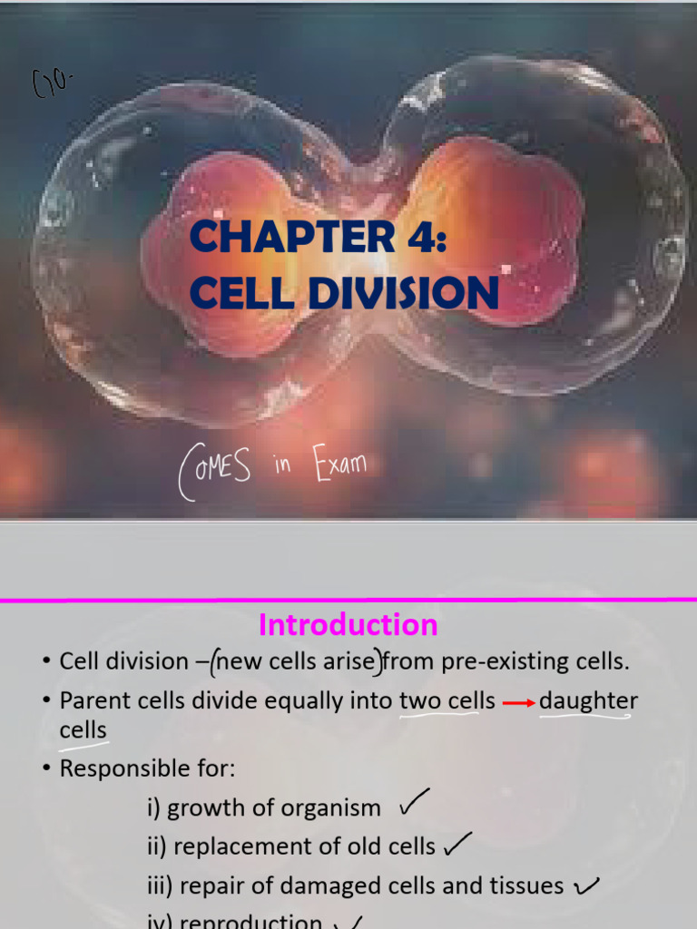 Chp 4-Cell Division | PDF | Meiosis | Mitosis