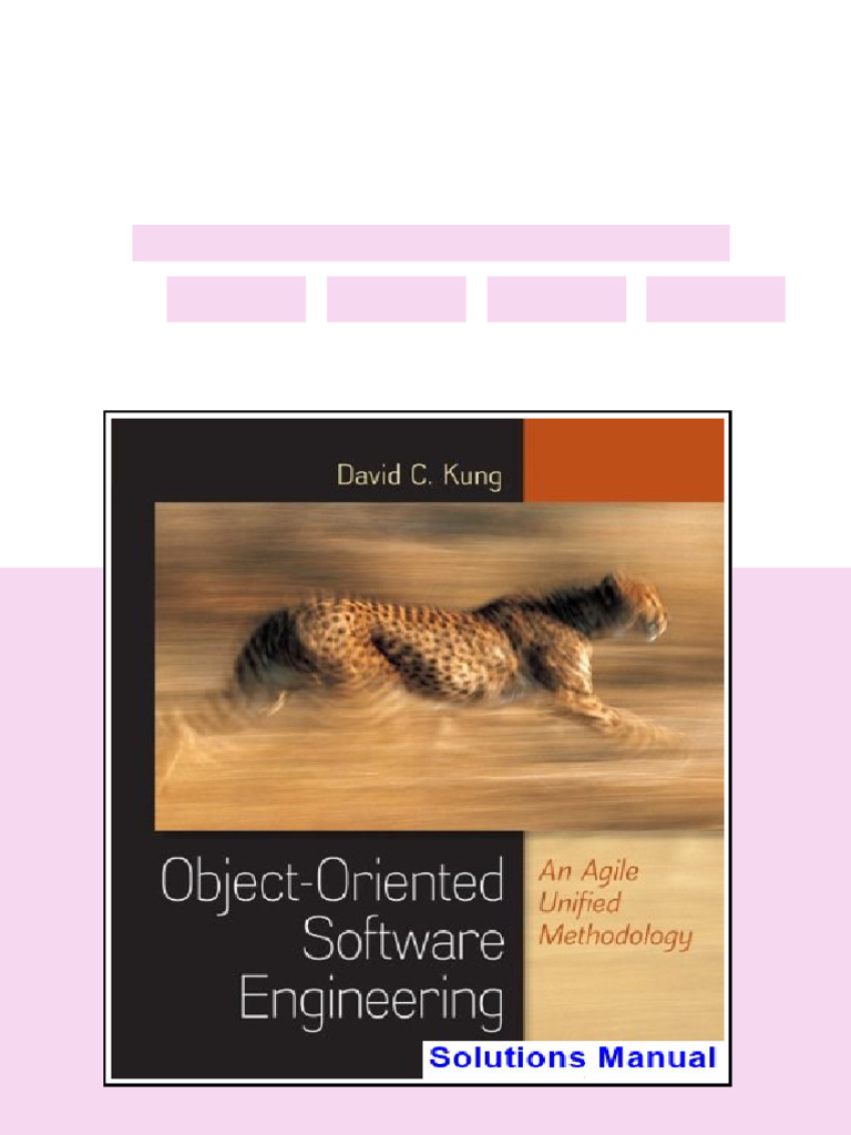 Object-Oriented Software Engineering An Agile Unified Methodology 1st Edition Kung Solutions ...