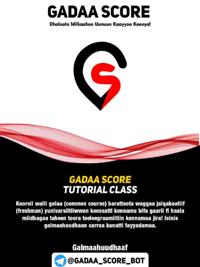 Gadaa Score | PDF | Psychology | Mind