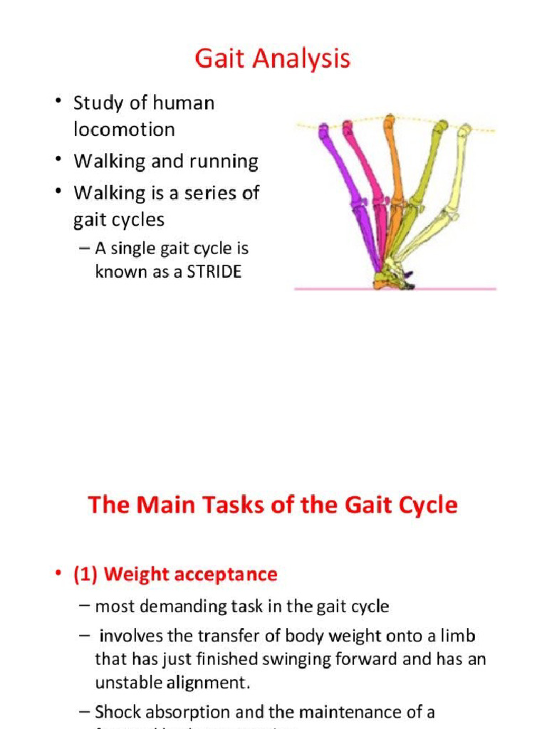 Gait Analysis | PDF