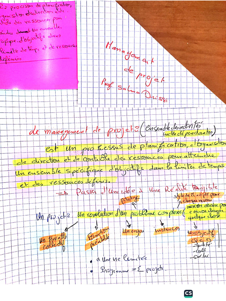 Management de Projet | PDF