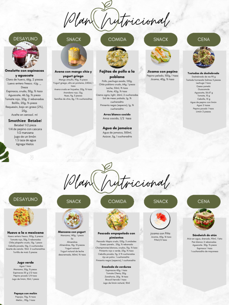 Plan Nutricional | PDF | Cocina occidental | Cocina