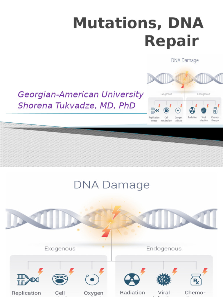 Mutations DNA Repair | PDF | Dna Repair | Mutation