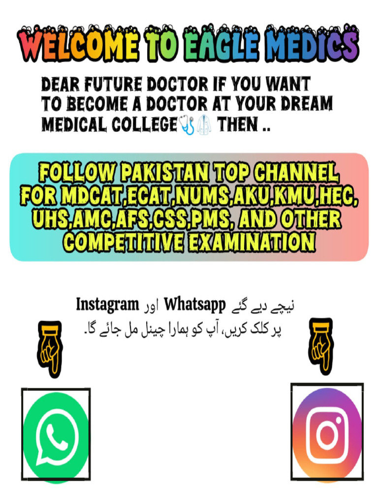 2024 ???? ???? (1) | PDF