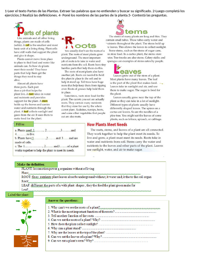 Parts of A Plant and Its Functions | PDF