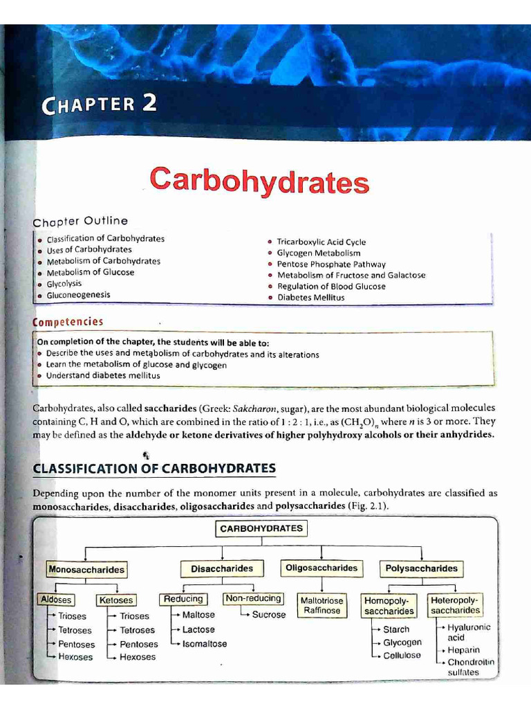 Classification of Carbohydrate | PDF