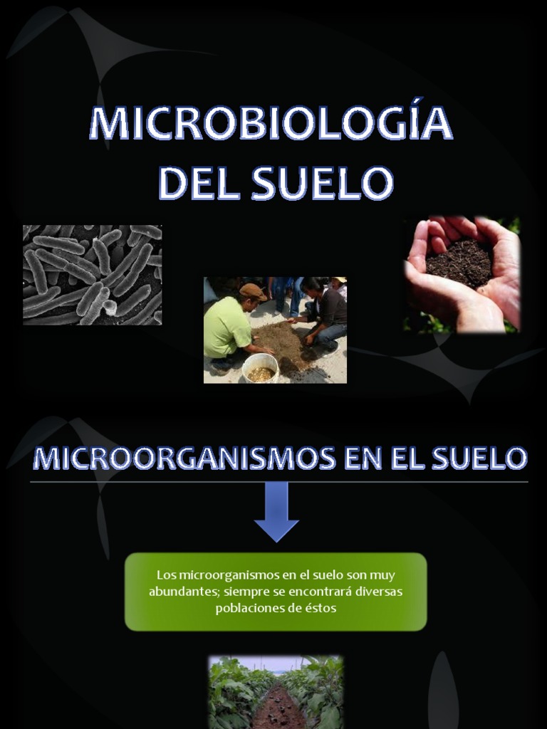 Microbiologia Del Suelo | PDF