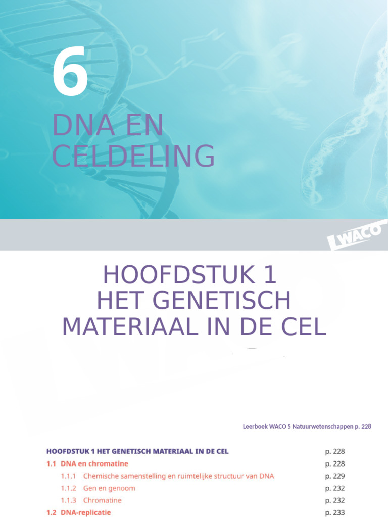 T6 - H1 - Genetisch Materiaal in de Kern - Ondersteunend Materiaal ...