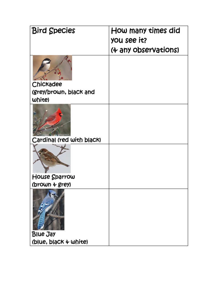 Bird Species Observation Log | PDF