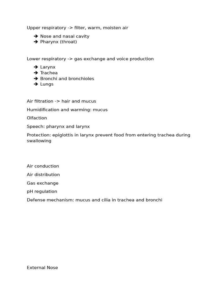 Upper Respiratory | PDF | Lung | Human Nose
