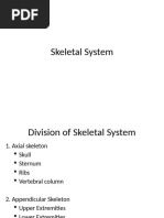 Unlabeled Axial Skeleton Overview | PDF | Skull | Skeletal System