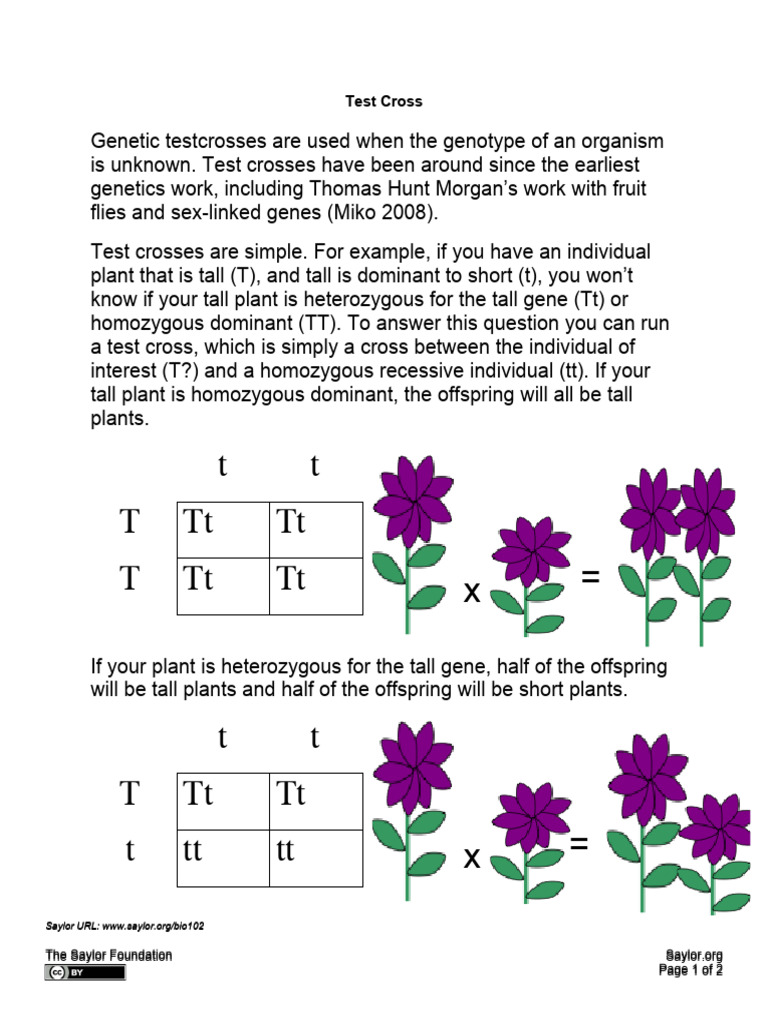 1 5 2-Test-Cross | PDF
