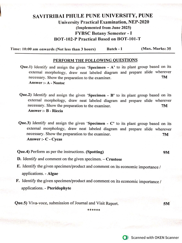 Botany Practical Question Paper | PDF