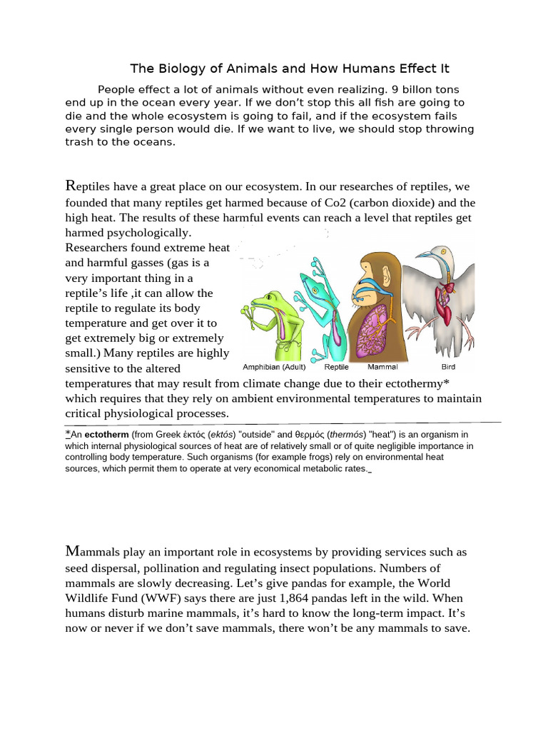 The Biology of Animals and How Humans Effect It | PDF | Ecology | Food Web