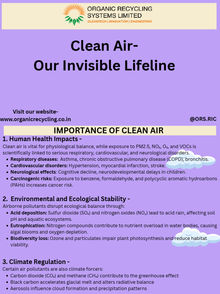 Clean Air-Our Invisible Lifeline | PDF | Air Pollution | Particulates