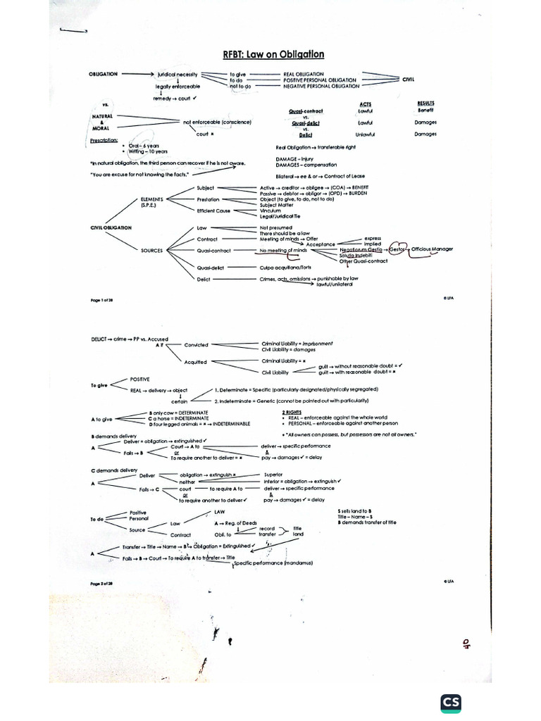 Oblicon Summary of Summary 073332 | PDF