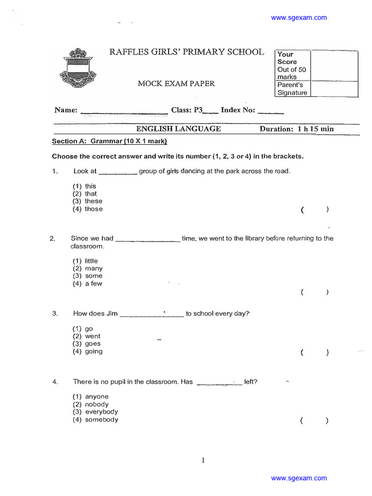 P3 English Mock Exam Paper 2023 | PDF