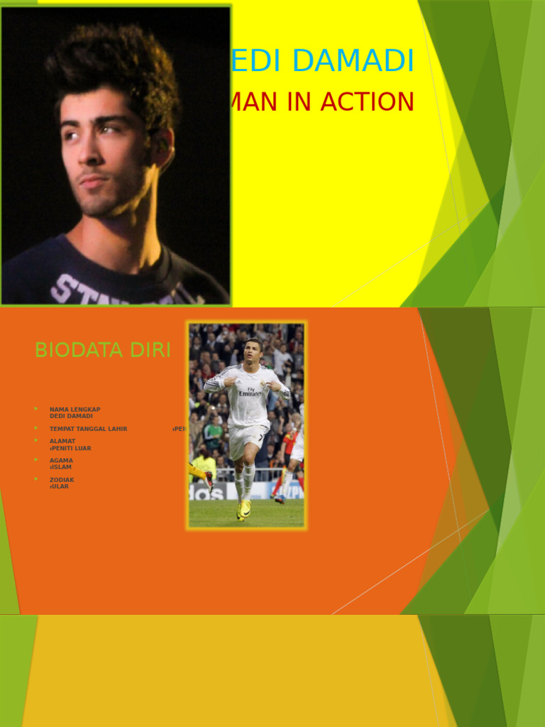 Biodata Dedi Damadi: Profil Singkat | PDF