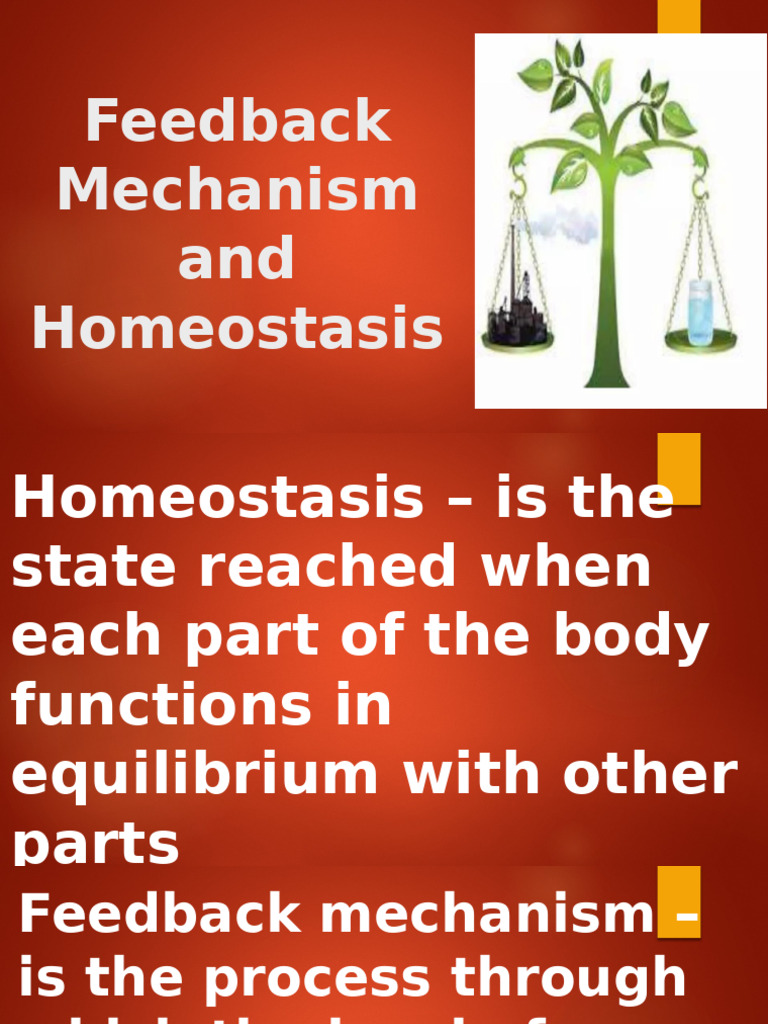 Feedback Mechanism and Homeostasis | PDF