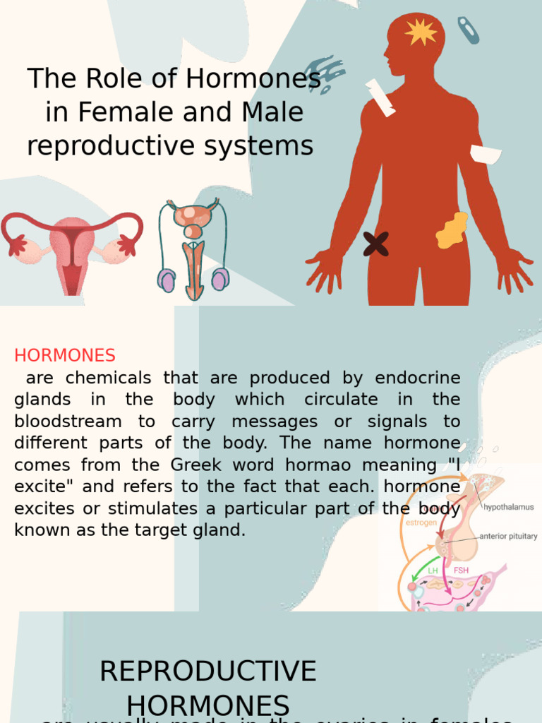 Role of Hormones and Menstrual Cycle | PDF | Menstrual Cycle ...