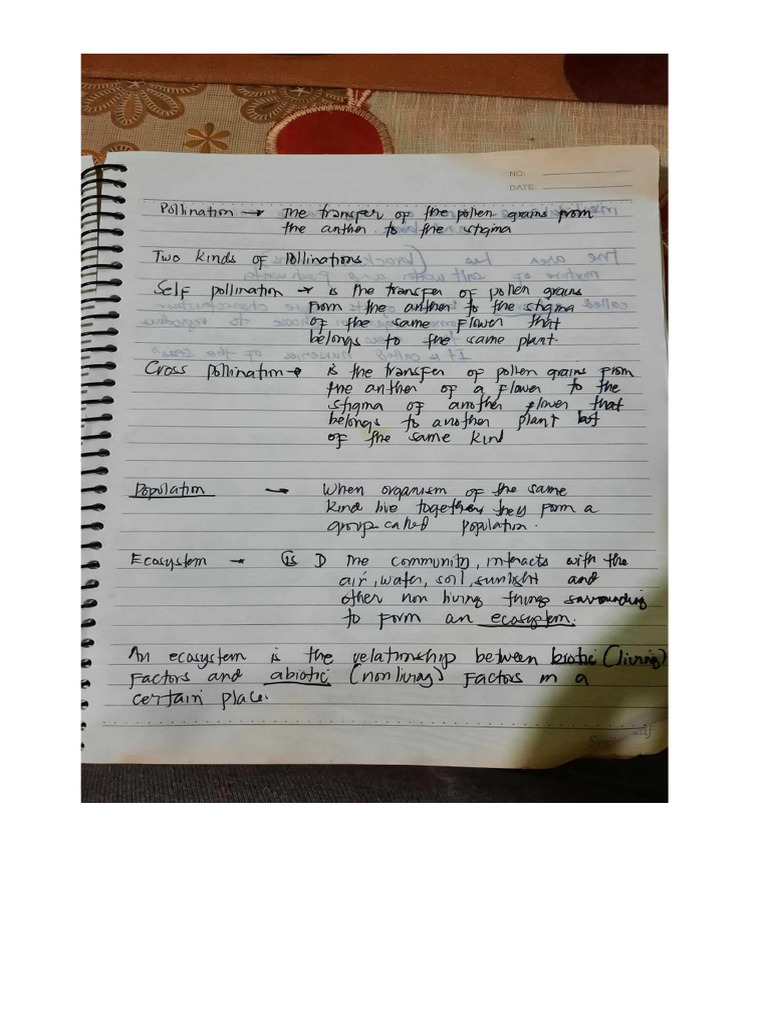 Grade 4 Science Quiz Bee Reviewer | PDF