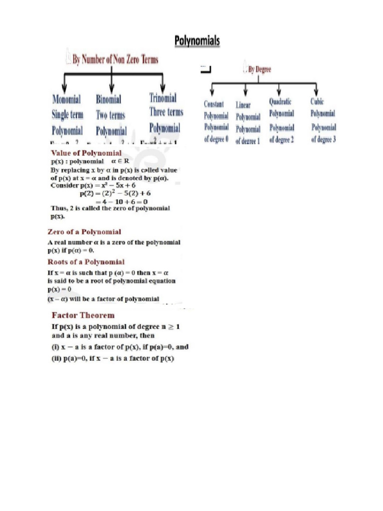 Plynomials NOTES Reference | PDF