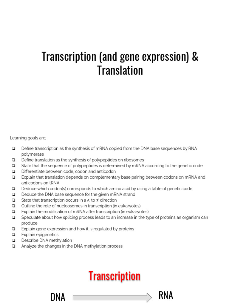 DNA Replication, Transcription & Gene Expression, and Translation | PDF ...