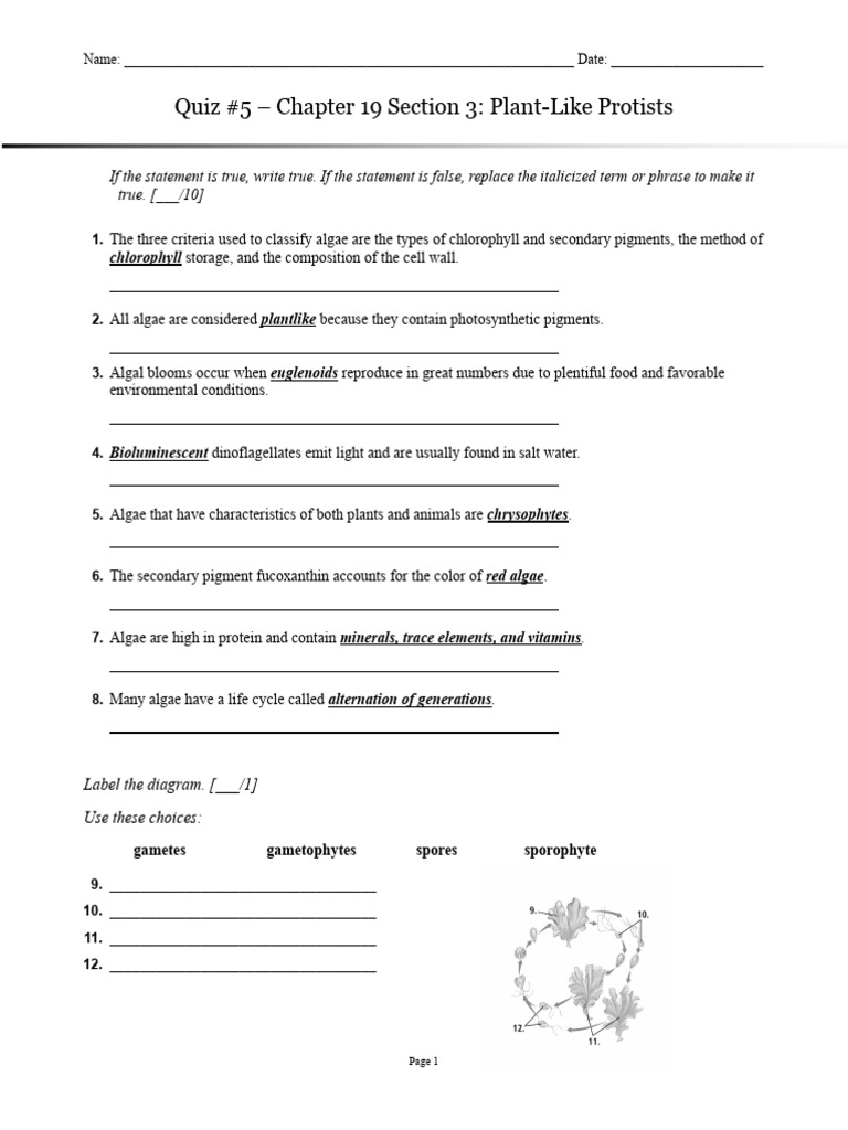 Chapter 19 Section 3 Quiz | PDF