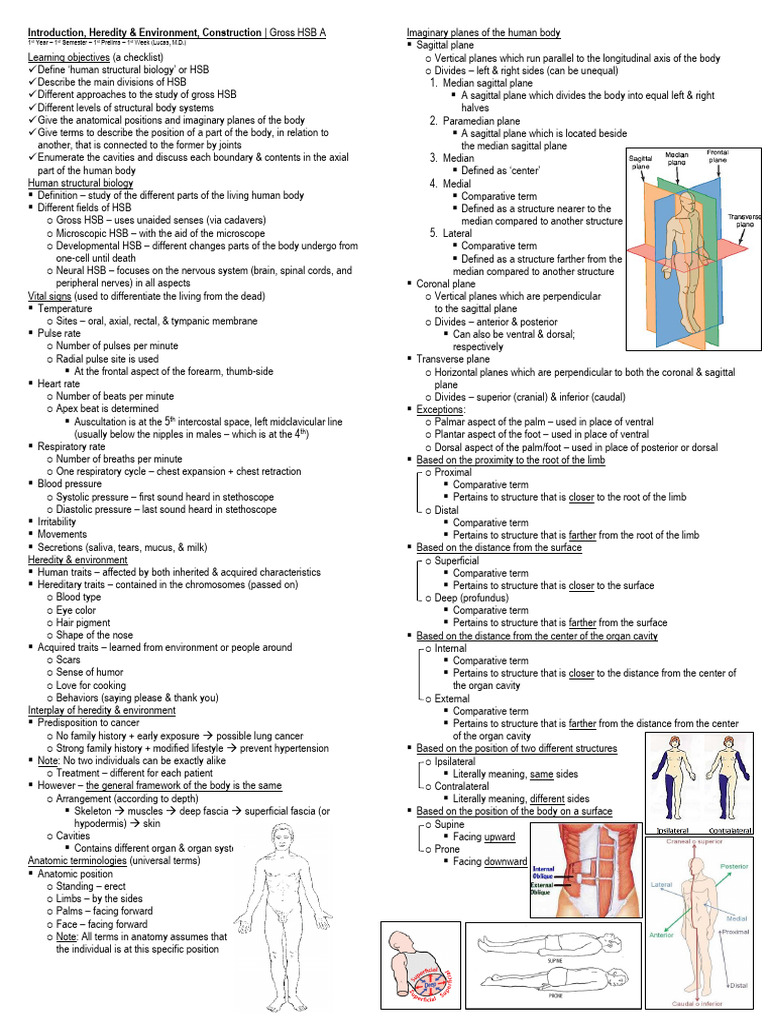 Human Structural Biology Overview | PDF | Anatomical Terms Of Motion ...