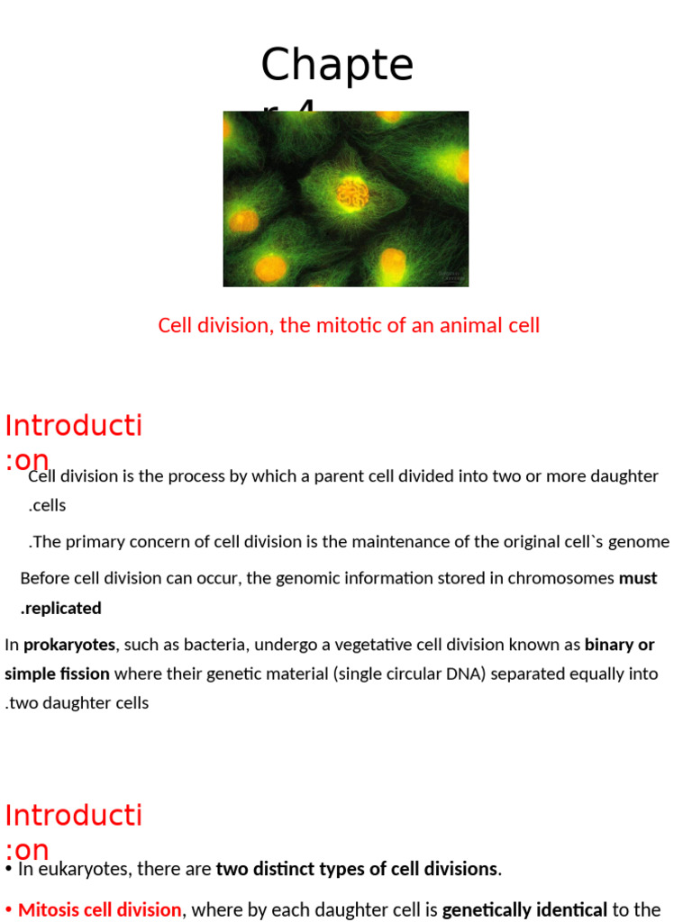 CH 4 Cell Division-Mitosis | PDF | Mitosis | Cell (Biology)