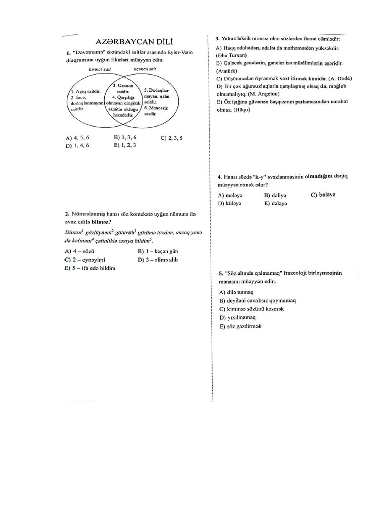 Sebine Qezenferzadə | PDF