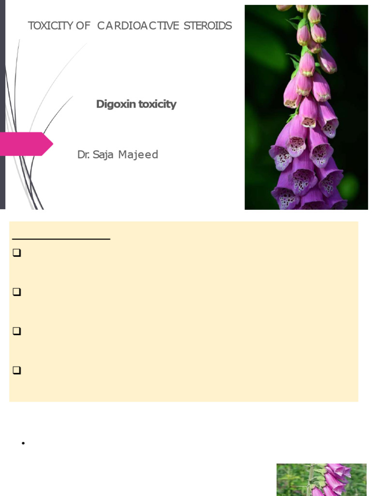 Digoxin Toxicity | PDF | Calcium In Biology | Muscle Contraction