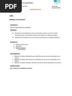 Reflejo Cremastérico: Definición y Ausencia | PDF