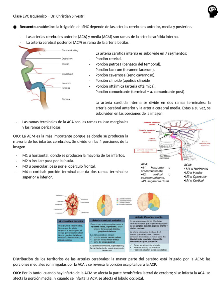 Guia Evc Isquemico | PDF | Carrera | Isquemia
