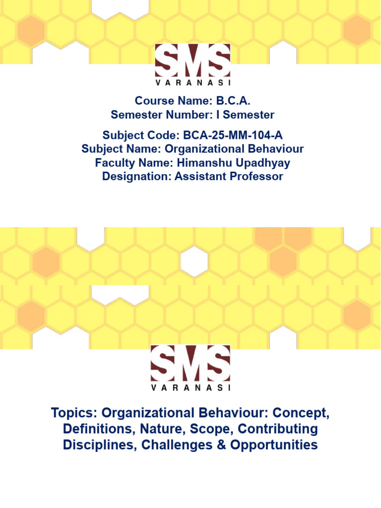 BCA 25 MM 104 A Unit 1 1.1 PPTs | PDF | Psychology | Organizational ...