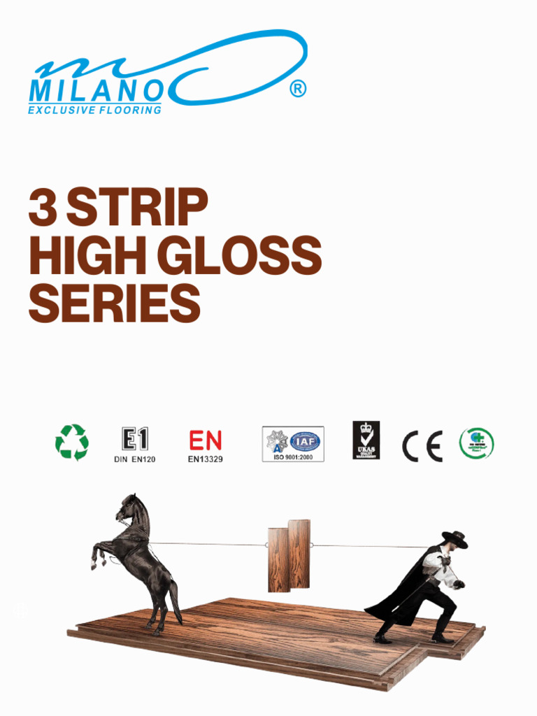 3 Strip High Gloss Series | PDF