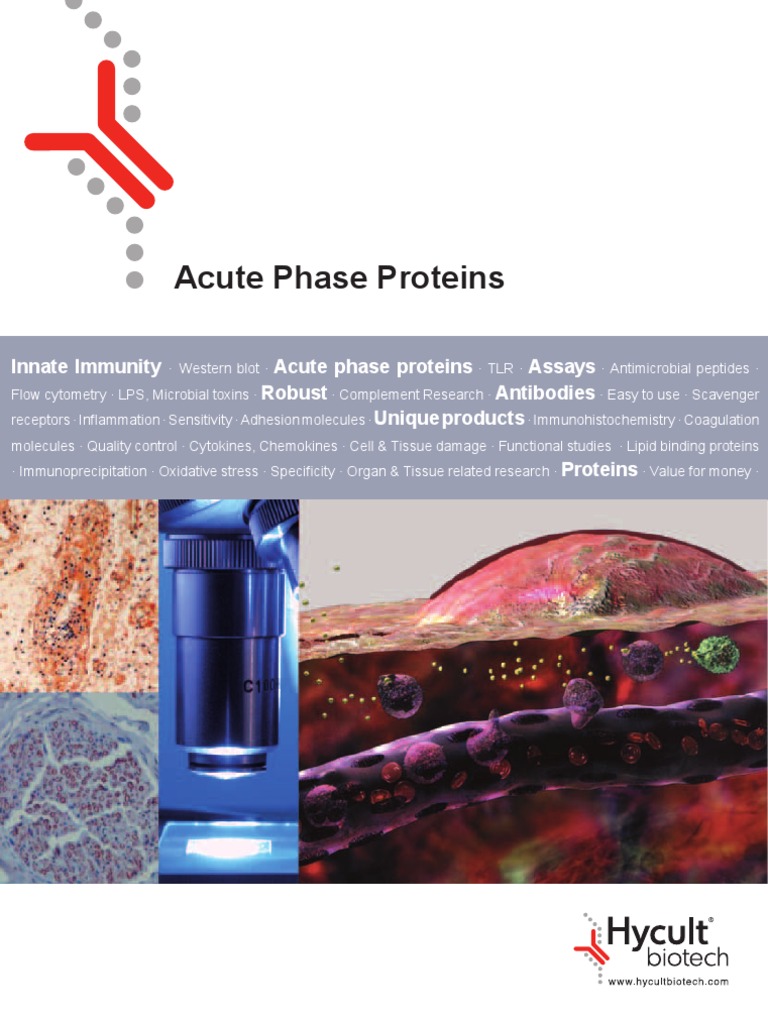 Acute Phase Proteins | PDF | Complement System | Inflammation