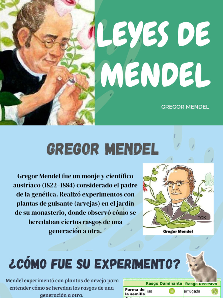Leyes de Mendel y Herencia Genética | PDF | Dominancia (Genética ...