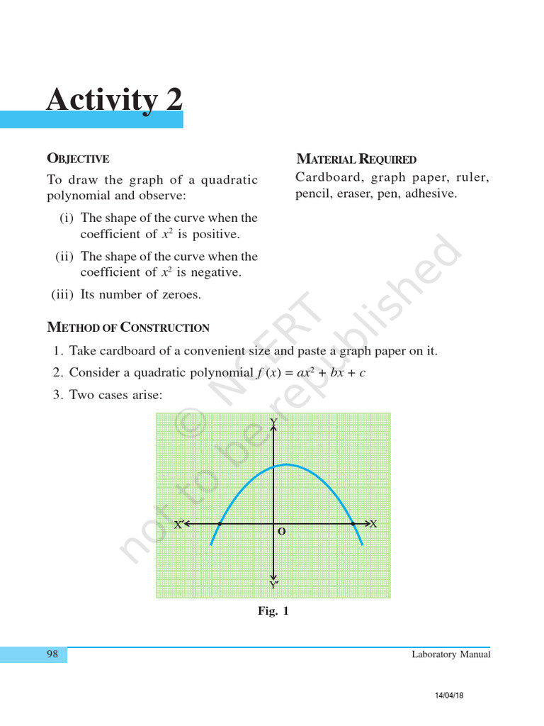 Class 10 Maths Activity File | PDF | Quadratic Equation | Mathematics ...
