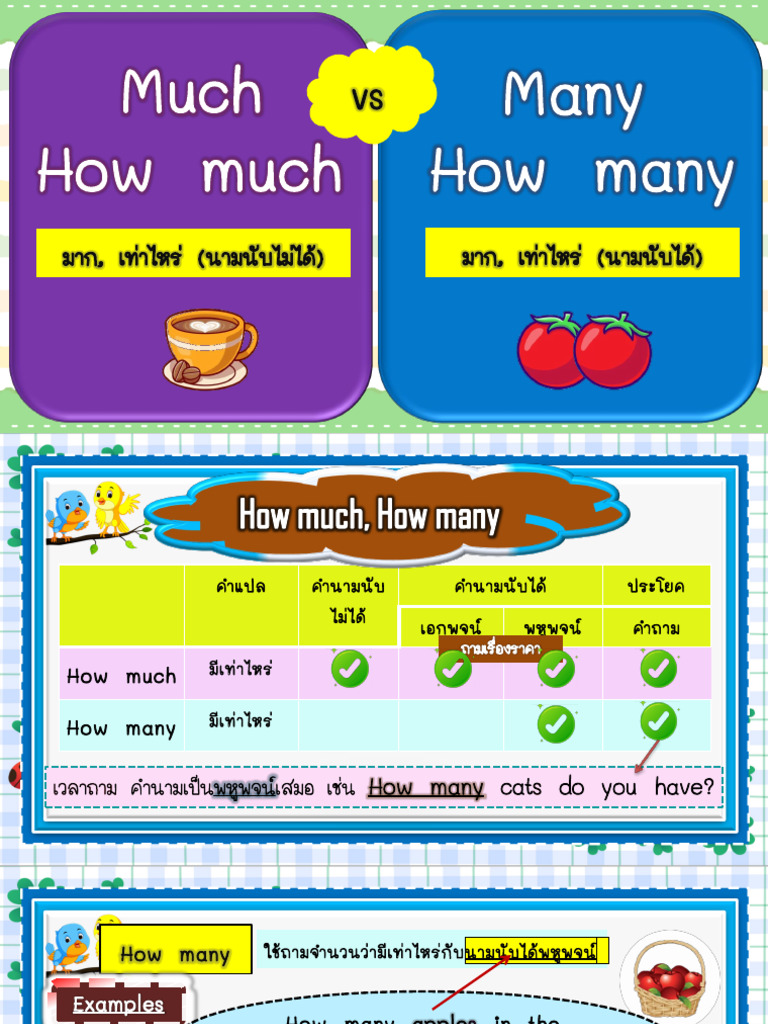 Much, How Much, Many, How Many | PDF