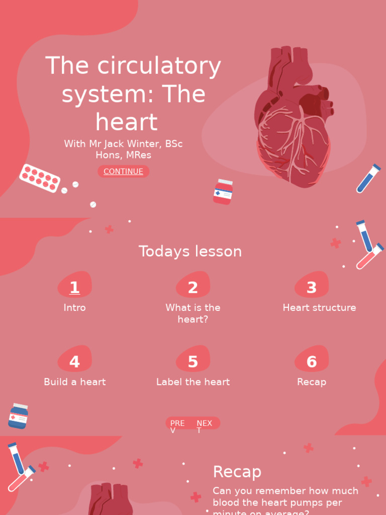 Grade 5 - Introduction To The Heart - Session 3 | PDF | Heart | Artery