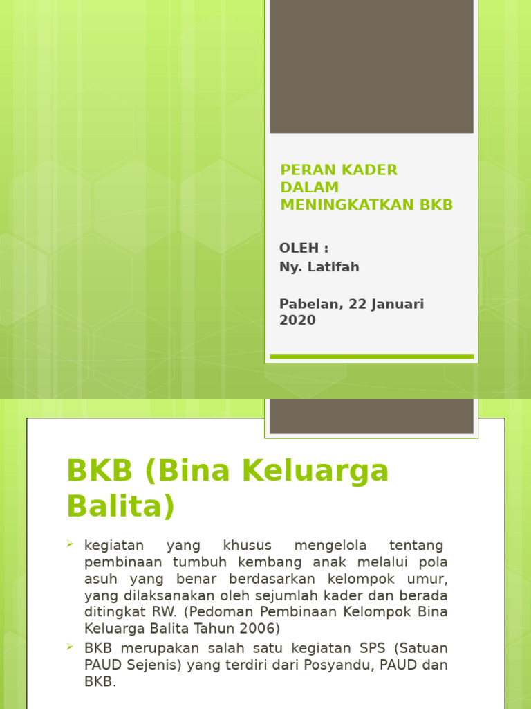 Peran Kader Dalam Meningkatkan Bkb-bu Ning | PDF