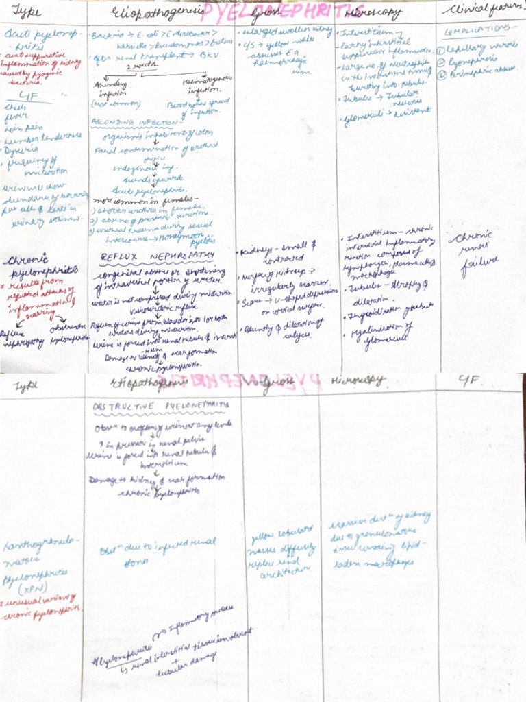 Handwritten Pathology Notes | PDF