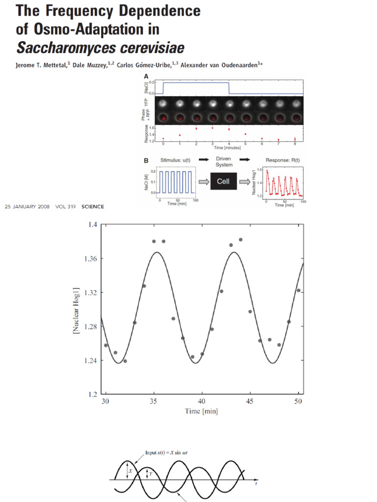 Frequence Response Slides | PDF