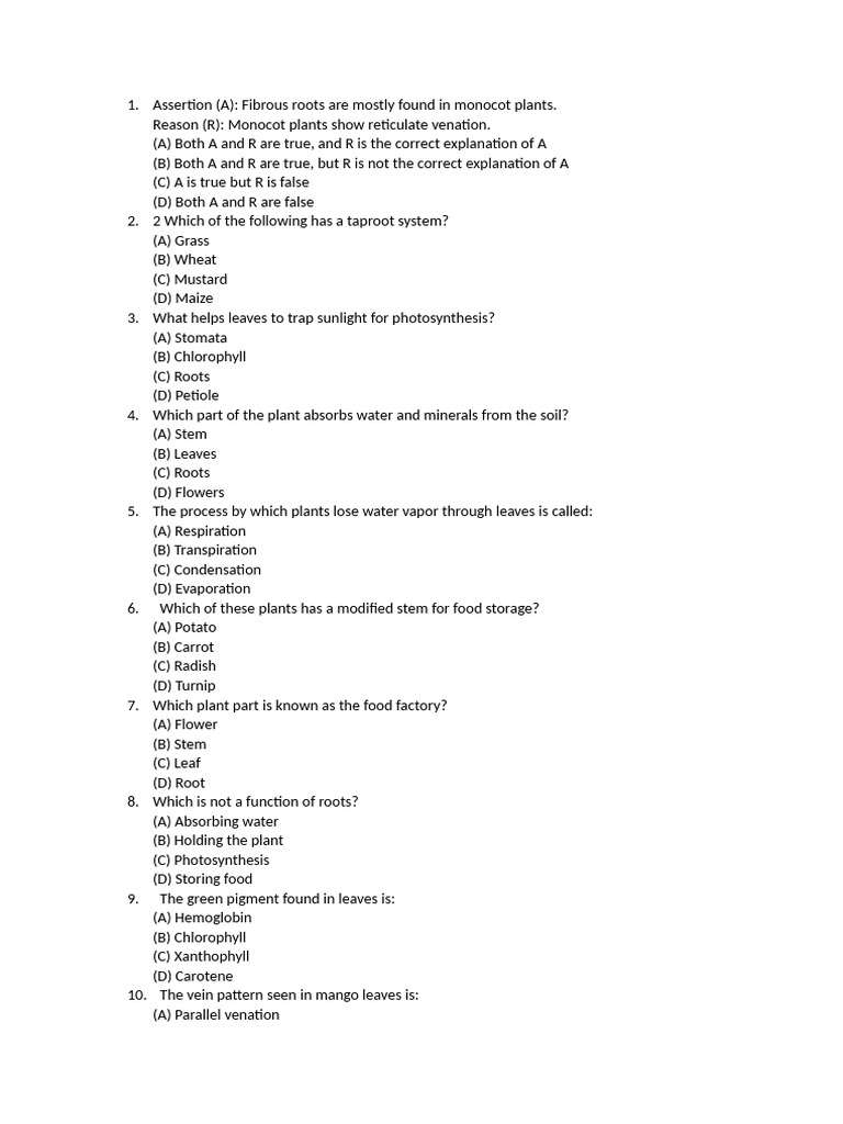Plant Structure and Function Quiz | PDF | Leaf | Plants