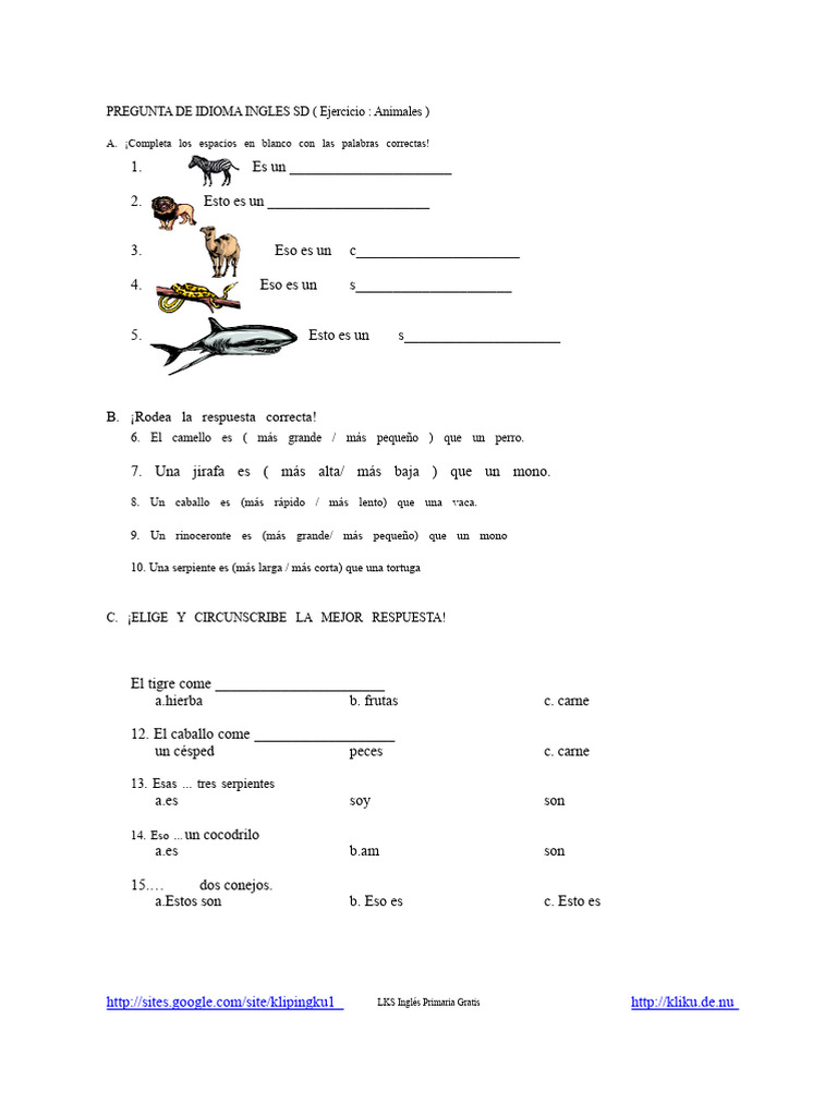 Ejemplo de Preguntas de Inglés para Estudiantes de Segundo Grado PDF | PDF