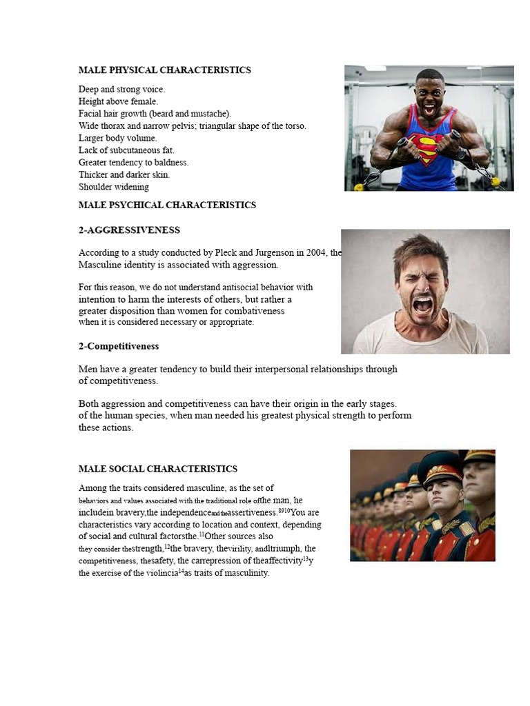 Male Physical Characteristics | PDF | Masculinity | Aggression